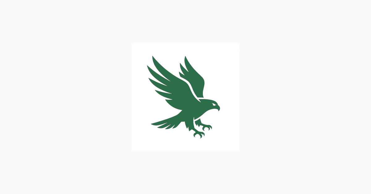 Falconry Jesses: Types & Safety | FalconryLab